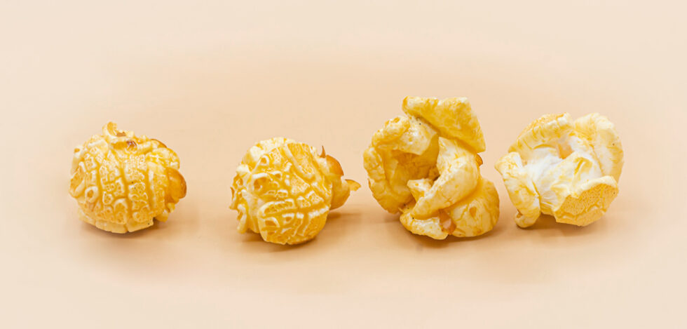 Popcorn - caramel - Food Coating Expertise